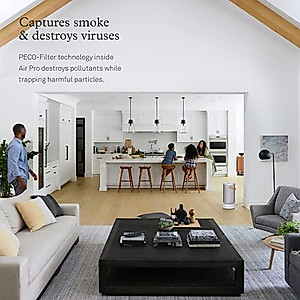 Molekule Air Pro Air Purifier for Large Rooms up to 1000sq. ft. with PECO Technology, Compatible with Alexa, Eliminates Smoke, Mold, Bacteria & Other Pollutants for Clean Air – Silver