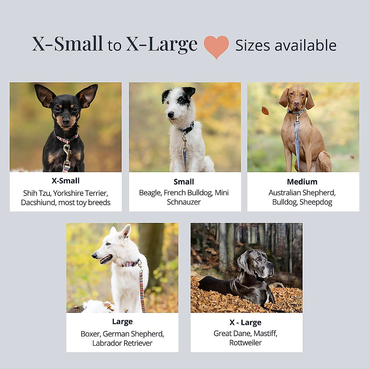 Lucky Love Dog - Easy Click Buckle Dog Collar with Leash Set Combo, Durable & Comfortable Collar for Male & Female Dogs, Pet Collar for Small to Large Dogs, Secure Fit - Blackbird Combo, Small