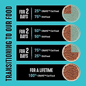 CRAVE Grain Free Adult High Protein Natural Dry Cat Food with Protein from Salmon & Ocean Fish 4 lb