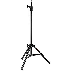 Rode NT2-A Large-Diaphragm Multipattern Condenser Microphone Bundle with Auray RF-5P-B Reflection Filter (Metal) and Auray RFMS-580 Filter Mic Stand