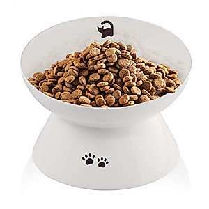 immaculife Ceramic Raised Cat Food Bowl, Slanted Cat Dish, Tilt Angle Protect Cat's Spine, Stress Free, Backflow Prevention