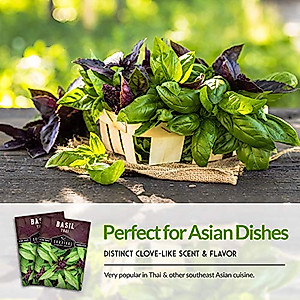 Survival Garden Seeds - Thai Basil Seed for Planting - Packet with Instructions to Plant and Grow Asian Basil Indoors or Outdoors in Your Home Vegetable Garden - Non-GMO Heirloom Variety - 1 Pack