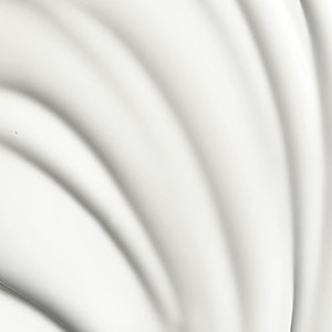 Living proof Perfect hair Day Healthy Hair Perfector