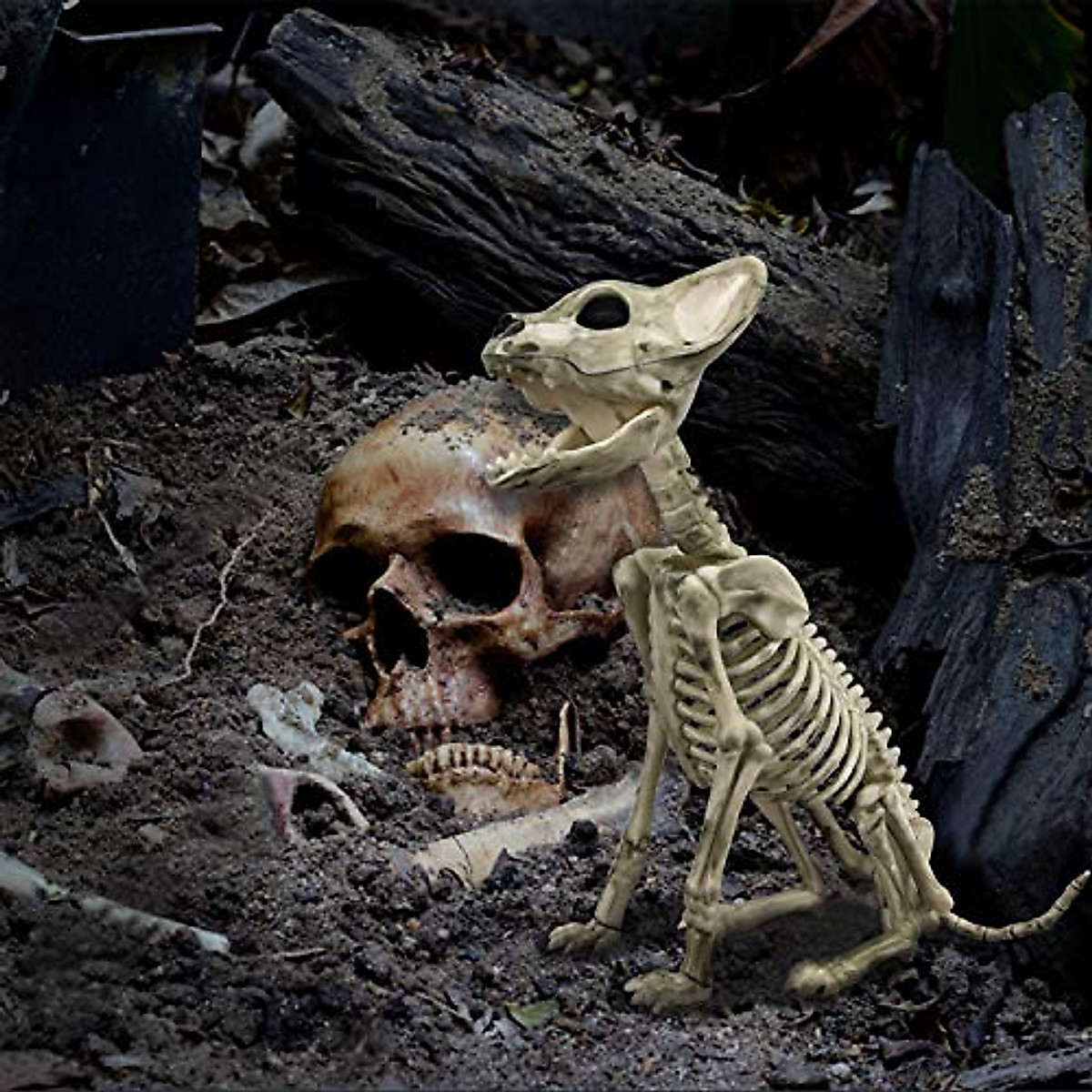 MAKEATREE Halloween Decoration Mini Skeleton Cat Kitten, Plastic Crouching Sitting Cat Bones for Pose Skeleton Prop Indoor Spooky Scene Haunted House Party Favors Décor