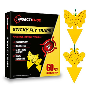 60Pcs Fungus Gnat Trap for House Indoor with Ties - Extra Adhesive Gnat Sticky Trap for Plants, Fruit Fly Traps for Indoor Outdoor, Fungus Gnat Killer for Indoor Plant, Insect Trap Indoor Bug Catchers