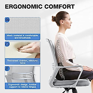 Office Chair - Ergonomic Office Chair Mid Back Office Desk Chair with Wheels Computer Chair with Lumbar Support Home Office Chair with Armrests for Adults, Grey