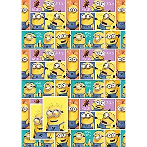 Danilo Despicable Me Wrapping Paper, Despicable Me Gift Wrap 2 Sheets Of Gift Wrap And 2 Gift Tags