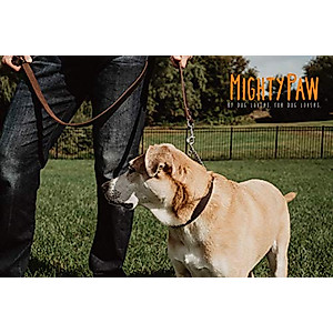 Mighty Paw Leather Martingale Dog Collar | Premium No Pull Dog Collar Martingale Collar for Dogs, Stainless Steel Chain, Limited Chain Cinch Training Collar. for Large, Medium and Small Dogs (Brown)