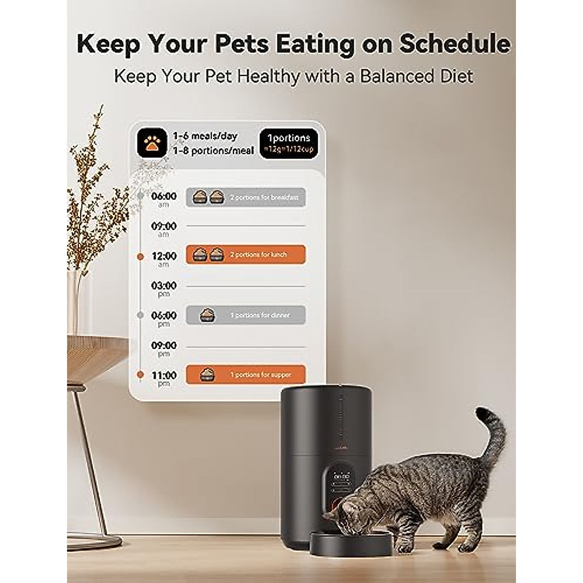 WOPET FT50 Automatic Cat Food Dispenser - Automatic Cat Feeders with Programable 1-6 Meals, Automatic Dog Feeder with Stainless Bowl, Timed Cat Feeder with 10S Voice Recorder for Cat and Dog, Black