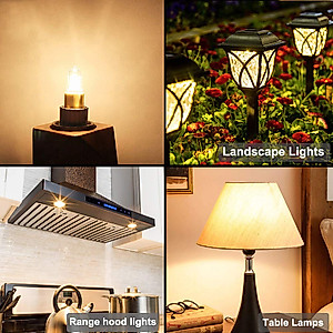 G4 Bulb, 10 Pack Halogen G4 12V 10W with G4 Bi-pin Base, High Output G4 Light Bulb 12V 150LM 3000Hrs Long Lifetime, G4 Dimmable, CRI100 & 2800K Warm White, G4 Halogen Bulb 10W for Cabinet Light Bulbs