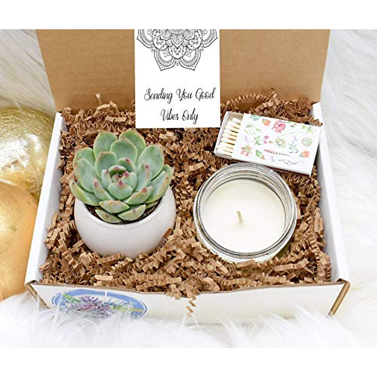 Good Vibes Gift Box - Succulent Gift Box - Live Succulent gift box - Friend Gift Box - Good Vibes Only - Birthday Present - Send a Gift
