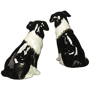 Cosmos Gifts Ceramic Border Collie Salt and Pepper Set, 2-1/2-Inch