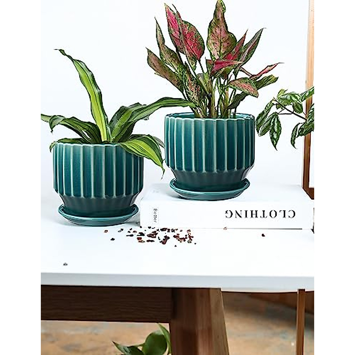 AISBUGUR Plant Pots 6 inch Ceramic Pots for Indoor Plants Set of 2 Flower Pots Unique Crackle Glaze Design Plant Pots with Drainage Hole and Saucer Come with Drainage Nets (Aqua Green)