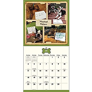 Dog Shaming 2023 Wall Calendar
