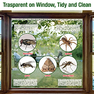 SEEKBIT 40 Pack Sticky Cockroach Traps on The Wall, Window Fly Traps for House, Clear Bug Killer Indoors, Fly Catcher Sticky Trap for Ladybugs, Gnats, Houseflies Glue Traps Keep Flying Insects Away