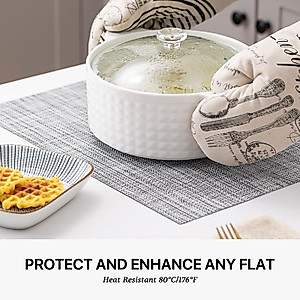 LEXMORE Placemats Set of 4 Vinyl/Plastic Woven Place Mats for Kitchen Table Indoor/Outdoor Washable Placemat Wipeable Dining Table Mats(Gray)