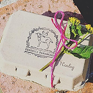 Half Dozen Egg Cartons- Henlay Blank Flat Top Six Pack (20)