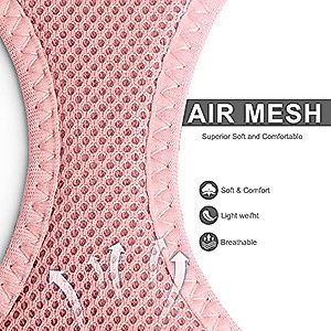 Fida Cat Harness and Leash Set for Walking Kitten and Puppy, Escape Proof Kitten Harness with Breathable Lightweight Soft Mesh, Adjustable Reflective Step-in Design for Kitten and Puppy.(XXXS, Pink)