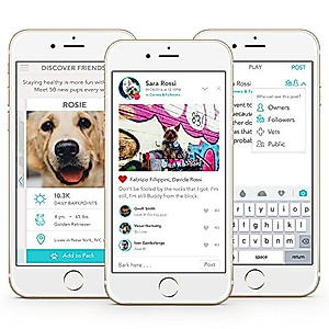 FitBark 2 Dog Activity Monitor | Health & Fitness Tracker for Dogs | Waterproof, Small & Leightweight (10 g) | Not a GPS Tracker