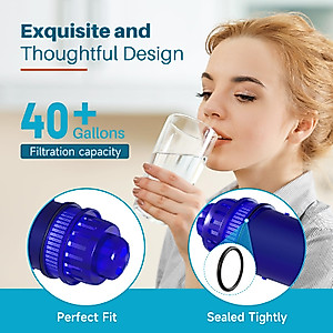 ICEPURE Pitcher Water Filter, Compatible with All PUR® Pitchers & Dispensers Filtration Systems, Replacement for PUR CRF-950Z, PPF900Z, PPF951K, PPT700W, PPT711W, CR-1100C, CR1100CV, DS-1800Z (4 Pack)