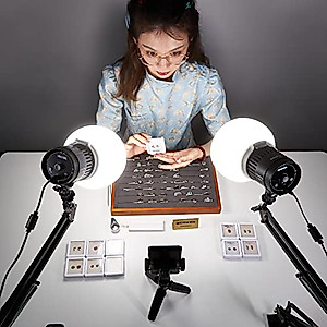 Godox LC30D Litemons Tabletop LED Light, 33w 5600K CRI 95+/TLCl 96+ Daylight Video Light, 8 Preset Lighting FX Effects