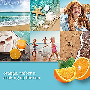 Yankee Candle Fragrance Spheres, Catching Rays