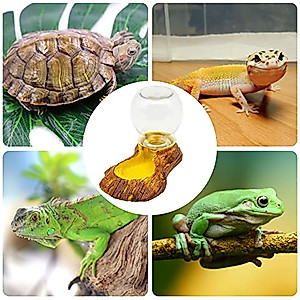 MINYULUA Reptile Water Feeder Automatic Water Dispenser Turtle Feeders Waterer for Turtle Frog Feeding Water Bowl Food Bowl Pet Supplies