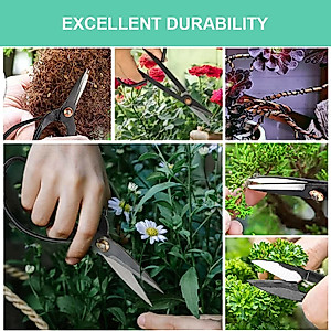 Voilamart 14 Piece Bonsai Tools Kit with Case, Carbon Steel Scissor Cutter Shear Set Garden Plant Tools
