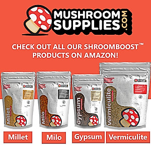 MushroomSupplies.com Organic Vermiculite (8QT) | Substrate Conditioner for Mushroom Growing | Mycologist Recommended