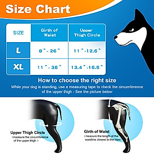 CHAMIN/RISURRY Adjustable Dog Knee Brace with Extra Collar, Support for Torn Acl Hind Leg, Tear Ligament, Osteoarthritis,Rear Leg Limp, Recovery After Surgery,et（Left Leg,L）