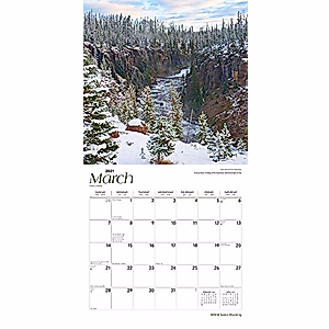 Wild & Scenicwyoming 2021 Calendar