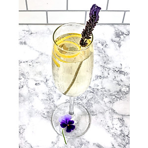 DIY COCKTAIL BITTERS Making Kit - Grow and Make Mixology Series color changing cocktails and customized mocktails become Your Own Drink Master