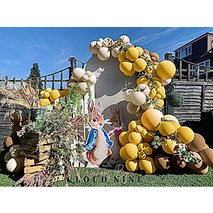 Captank Double Stuffed Mustard Yellow Brown White Sand Balloons Garland Arch Kit Dark Lemon Coffee Pastel Balloons For Daisy Bee Sunshine Sunflower Birthday Baby shower Gender Reveal Graduation