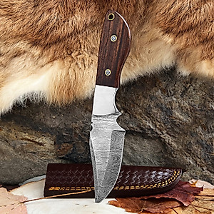 WINTERFELL Personalized Fixed Blade Damascus Hunting Knife with Sheath, Engraved Custom Gifts For Hunter, Customized Gift For Husband, Dad, Son, Unique Father's Day Gift (Brown)