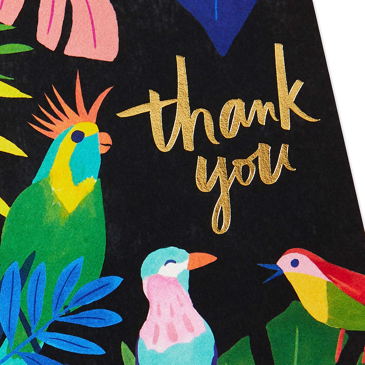 Hallmark Thank You Cards Assortment, Tropical Animals (24 Assorted Thank You Notes with Envelopes—Cheetahs, Llamas, Zebras, Flamingos, Birds)