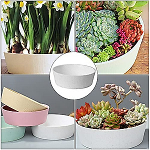 1pc with Pot White All Containers Container Nursery Flowers Garden Lily Gardening Planter for Water House Fresh Plants Indoor Pots Flower Round or Bowl Drainage