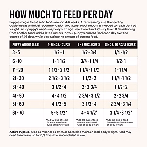 The Honest Kitchen Whole Food Clusters Puppy Whole Grain Chicken Dry Dog Food, 4 lb Bag