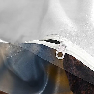 BUKISA Mountain Lion Duvet Cover Set Soft Microfiber Bedding Set Breathable Cougar Quilt Cover with Hidden Zipper Closure and Comforter Cover Sheet Pillowcase Queens（228x228cm）