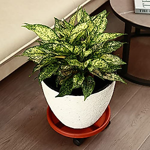 3 Pakcs Large Plant Caddy with Wheels 15.8" Rolling Plant Stands Heavy-duty Plastic Plant Roller Base Pot Movers Plant Saucer on Wheels Indoor Outdoor Plant Dolly with Casters Planter Tray Coaster Red