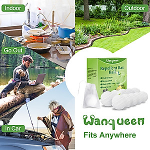 10 Pack Mouse Repellent Mice Deterrent Repellent for House, Rat Repellent Peppermint Oil to Repel Mice and Rats, Rodent Repellent Balls for Outdoor Indoor Pest Insect Control