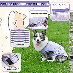 Uadonile Dog Surgery Recovery Suit, Surgical Recovery Suit for Dog Male Female, Spay Neuter Dog Recovery Suit, Cone Alternative Dog Surgical Onesie Purple, Medium