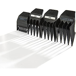 Wahl Professional Holiday Beret Lithium Ion Cord Cordless Ultra Quiet Electric Trimmer for Professional Barbers and Stylists - Model 08841-3001