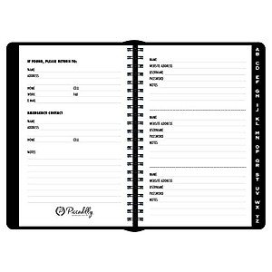 Piccadilly (USA) Inc. Internet Password Logbook (9781620097274)