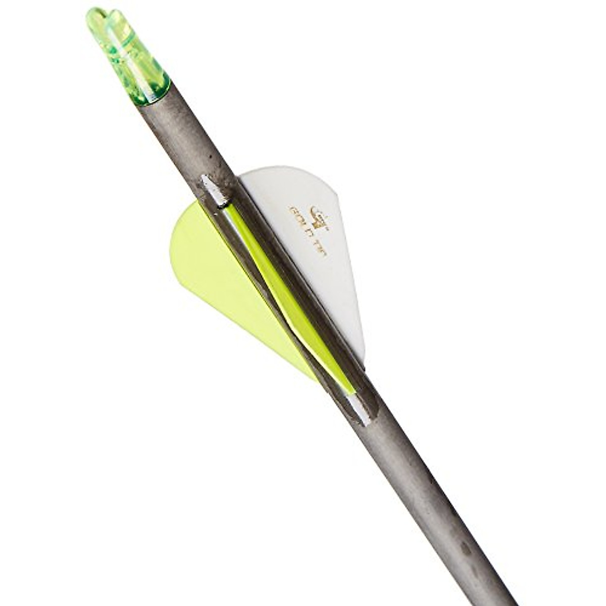 Gold Tip Hunter XT Arrows with Raptor Vane (Pack of 6), Black, 300