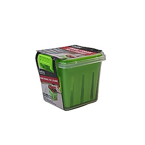 Reusable Fruit & Veggie Storage Container (Teal)