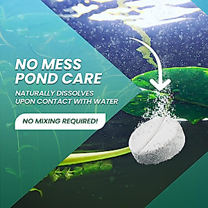 Koi Pond Cleaner Tablets - Makes The Pond Clear with Natural Pond Bacteria & Enzymes, Ideal for Koi Fish Pond - 25 Pcs. Koi Pond Muck and Sludge Remover Tablets, Safely Provides Clean and Clear Water