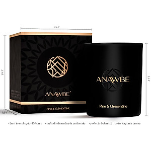 ANAWBE Pine & Clementine Scented Candle, Scented Candles for Men, Soy Candles, Invigorating Pine Candle for Home, Masculine Black Candles, 45-Hour Long-Burning, A Premium Aromatherapy Candle