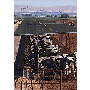 E.share 70% Green Shade Cloth Taped Edge with Grommets 12 ft X 8 ft