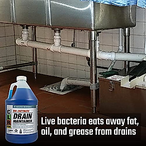 CLR PRO Commercial Drain Maintainer and Grease Trap Treatment, Preventative Maintenance Bio Enzyme Formula, Reduces Odor and Breaks Down Grease, 1 Gallon Bottle