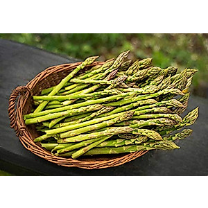 Seeds Asparagus White Giant Vegetable Garden Heirloom for Planting Non GMO